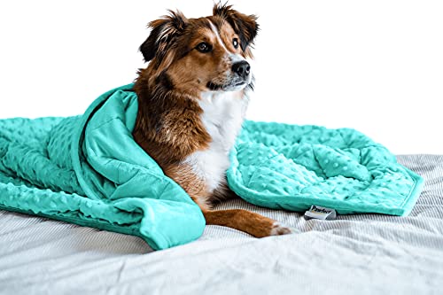 Nappy Puppy - Weighted Dog Blanket | Specially Designed for Anxious Dogs | Extra Comfortable | Premium Minky Fabric | Hypoallergenic Glass Beads | Aqua | Large 6 lb