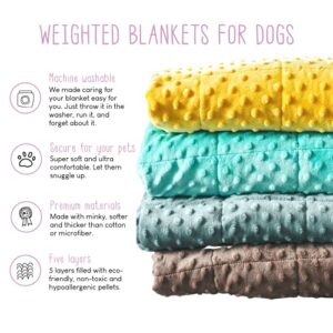 Nappy Puppy - Weighted Dog Blanket | Specially Designed for Anxious Dogs | Extra Comfortable | Premium Minky Fabric | Hypoallergenic Glass Beads | Aqua | Large 6 lb