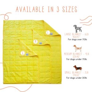 Nappy Puppy - Weighted Dog Blanket | Specially Designed for Anxious Dogs | Extra Comfortable | Premium Minky Fabric | Hypoallergenic Glass Beads | Aqua | Large 6 lb