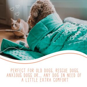 Nappy Puppy - Weighted Dog Blanket | Specially Designed for Anxious Dogs | Extra Comfortable | Premium Minky Fabric | Hypoallergenic Glass Beads | Aqua | Large 6 lb