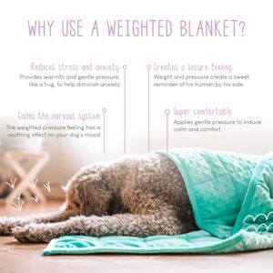 Nappy Puppy - Weighted Dog Blanket | Specially Designed for Anxious Dogs | Extra Comfortable | Premium Minky Fabric | Hypoallergenic Glass Beads | Aqua | Large 6 lb