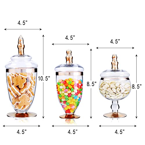 Set of 3 Clear Glass Apothecary Jars with Lids, Bathroom Canisters, Vanity Organizers, Candy Buffet, Wedding Display