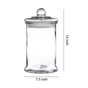 WHOLE HOUSEWARES 1.4 Gal Glass Apothecary Jar, 7.5X14 Inch Canister Set with Ball Lid 1 Piece