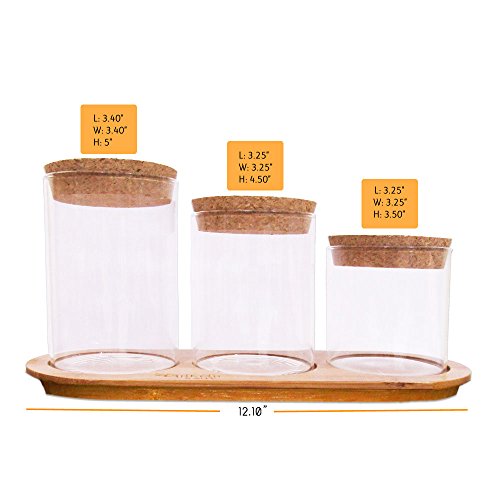 SplashSoup Glass Jar Set on Bamboo Tray, Natural Cork Lids, Bath Item Qtip Cotton Ball Canisters, Seasonal Display Decor, Centerpiece