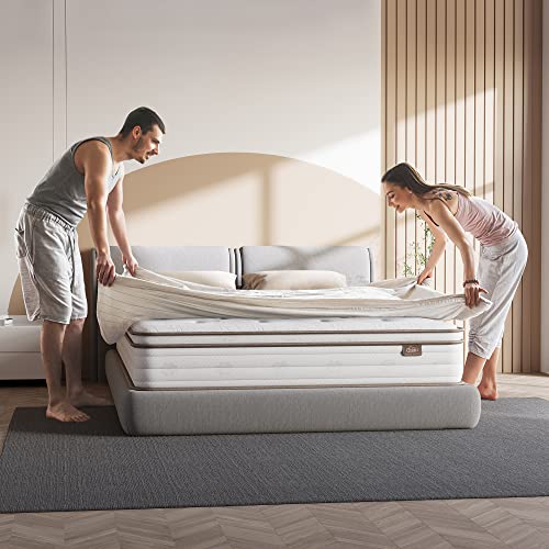 TeQsli Twin Mattress 10 Inch, Cool Eggshell Memory Foam and 7 Zone Pocket Innerspring Hybrid Mattress in a Box, Pressure Relief & Supportive Twin Bed Mattress, Breathable Cover, 100 Nights Trial