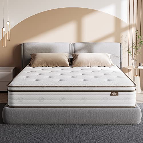 TeQsli Twin Mattress 10 Inch, Cool Eggshell Memory Foam and 7 Zone Pocket Innerspring Hybrid Mattress in a Box, Pressure Relief & Supportive Twin Bed Mattress, Breathable Cover, 100 Nights Trial