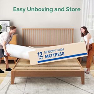 Airdown 12 Inch Queen Mattress, Green Tea Memory Foam Mattress, Medium Firm, Bed-in-a-Box, CertiPUR-US Certified, Made in USA