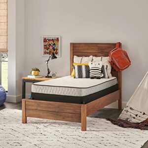 sealy essentials spring spruce firm feel mattress, twin