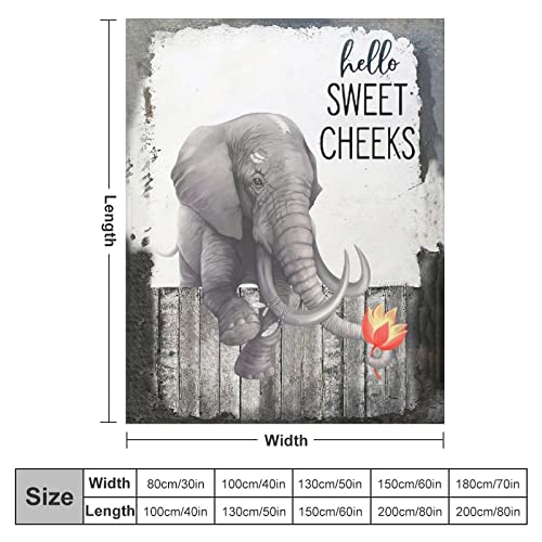 Elephant Blanket Cute Funny Elephant Decor Animal Throw Blanket Elephant Gifts for Girls Boys Super Warm Soft Plush Fleece Flannel Blanket Winter Couch Bedding Blanket for Kids Adults Women 40"x50"