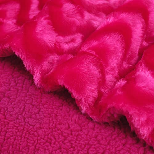 Whale Flotilla Faux Fur Throw Blanket for Couch Sofa Bed, Plush Reversible Fuzzy Sherpa Throw Blanket for All Season, Warm and Soft, 50x60 Inch, Hot Pink