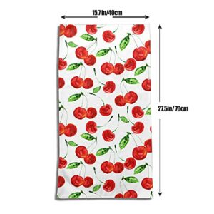 Dujiea Sweet Red Cherry Kitchen Dish Towel Soft Highly Absorbent Hand Towel Home Decorative Multipurpose for Bathroom Hotel Gym and Spa 15 X 27 Inches