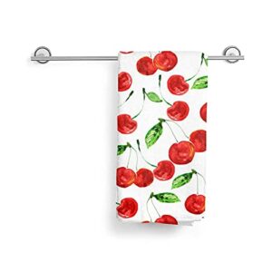 Dujiea Sweet Red Cherry Kitchen Dish Towel Soft Highly Absorbent Hand Towel Home Decorative Multipurpose for Bathroom Hotel Gym and Spa 15 X 27 Inches