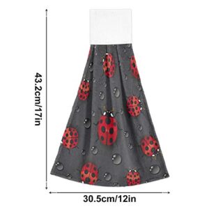 Blueangle Set of 2 Red Ladybugs Hanging Tie Towels Kitchen Hand Towel Absorbent Soft Coral Velvet Dish Wipe Cloth for Kitchen Bathroom