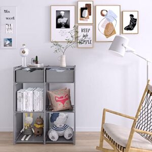 Dttwacoyh Closet Organizers and Storage Shelf Unit with 2 Storage Bins,Stackable Cube Storage Organizer,Drawer Organizers for Clothing,Book,Livingroom(Grey)