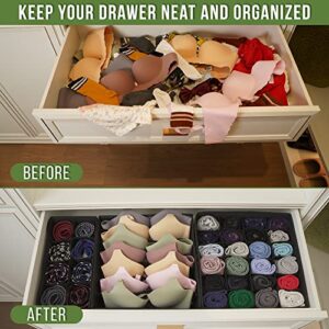 PETALS Drawer Organizers For Clothing – 8 Pack Foldable Dresser Drawer Organizers, Sock and Underwear Drawer Organizer, Baby Drawer Organizer, Bra, Panty, Lingerie, Ties, Belts