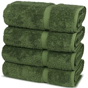 Chakir Turkish Linens 100% Cotton Premium Turkish Towels for Bathroom | 27'' x 54'' (4-Piece Bath Towels - Moss)