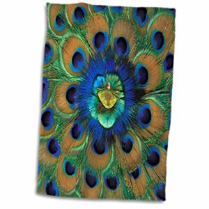 3d rose natural peacock feather patterns-as10 dfr0096-david r. frazier hand/sports towel, 15 x 22