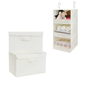 granny says bundle of 2-pack storage baskets with lids large & 1-pack hanging closet organizer