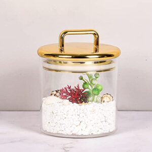 16 oz Small Acrylic Storage Apothecary Jar with Gold Airtight Lid | Bathroom Vanity Organizer Containers | Perfect Decorative Canisters for Shells, Bath Salt, Cotton Swabs, Cotton Ball, Flossers