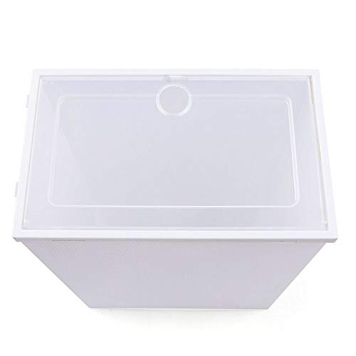 GDAE10 20pcs Shoe Storage Boxes Clear Shoe Box Storage Containers Shoe Box Clear Plastic Stackable Foldable Shoe Storage Box Sets Home Organizer for Sneaker Display(12.9”*9”*5.5”)