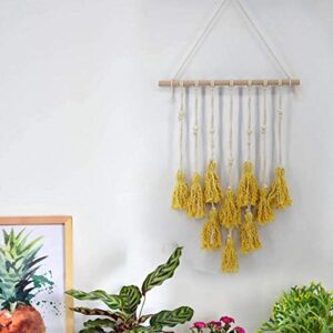 Macrame Wall Hanging 24" LX18 W Modern, Boho Home Decor, Woven Cotton Handmade Wall Hanging