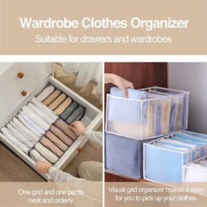 SANTUKEY Wardrobe Clothes Organizer, 7 Grids Washable Portable Closet Organizer Mesh Separation Storage Box Foldable Closet Drawer Organizer for Underwear, Socks, Scarves, Leggings, Skirts, T-shirts