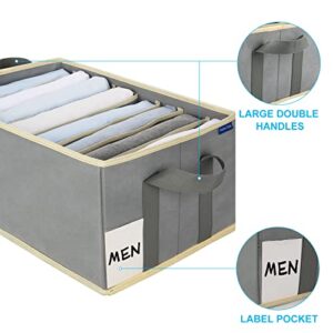 roomtalk Wardrobe Clothes Organizer for Shirts & Pants 8-Grids, Clothes Organizer for Folded Clothes with Double Handles & Label Pocket, 11.8" W x 16.5" D x 7.9" H, 2 Pack Grey.