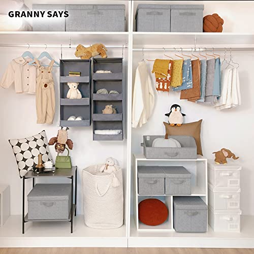 GRANNY SAYS Bundle of 1-Pack Hanging Closet Organizers and Storage & 2-Pack Lidless Storage Bins with Metal Frame