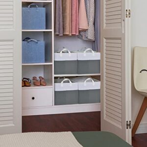 GRANNY SAYS Bundle of 1-Pack Hanging Closet Organizers and Storage & 2-Pack Lidless Storage Bins with Metal Frame