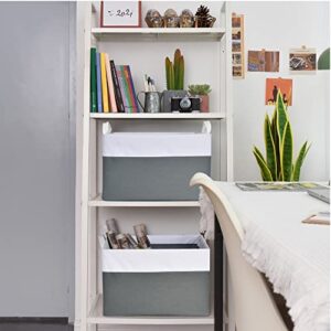 GRANNY SAYS Bundle of 1-Pack Hanging Closet Organizers and Storage & 2-Pack Lidless Storage Bins with Metal Frame