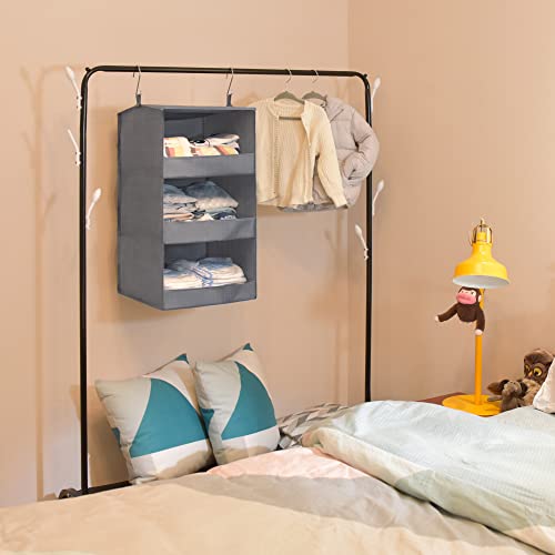 GRANNY SAYS Bundle of 1-Pack Hanging Closet Organizers and Storage & 2-Pack Lidless Storage Bins with Metal Frame