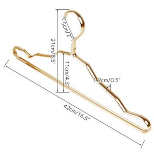 Creation Core Pack of 10 Stylish Aluminum Metal Coat Suit Clothes Hangers(Golden)