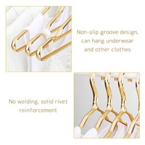 Creation Core Pack of 10 Stylish Aluminum Metal Coat Suit Clothes Hangers(Golden)