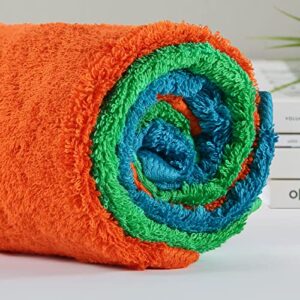 Chiicol Cotton Wash Cloths Absorbent Bath Washcloths for Body and Face - Hotel Towels for Bathroom in Bulk. Durable,Soft Bath Rags, Wash Rag (Multicolor)