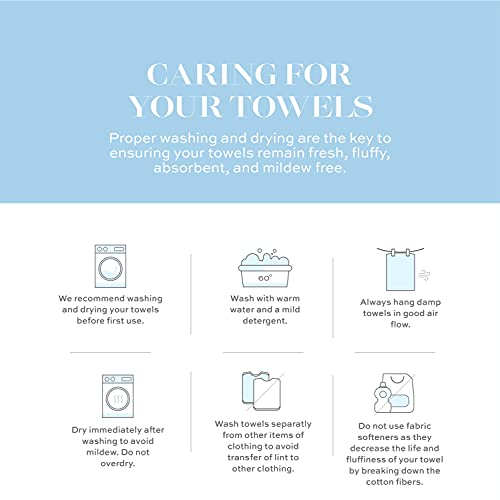 White Classic Luxury Hand Towels | 6 Pack Luxury Cotton Washcloths | 12 Pack Bundle (Brown)