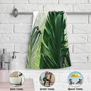 susiyo Hand Towel for Bathroom Set of 2 Absorbent Face Towel for Hotel Gym Guest Home Decorative, 28x14in (Green Palm Tree Leaves)