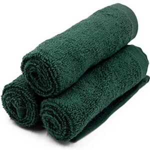 Linteum Textile 12 Piece Face Towel Set, 12x12 Inch, 100% Soft Cotton 16 Single Ring Spun Premium Washcloths Absorbent Durable Luxurious Face Towel (Hunter Green)