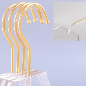 10 Pack Acrylic Clothes Hangers with Gold Hook