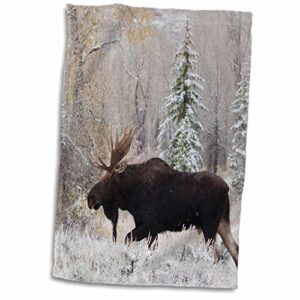 3D Rose Shiras Bull Moose-Autumn Snow Hand Towel, 15" x 22"