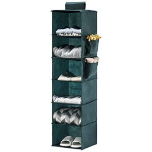 YOUDENOVA Hanging Closet Organizers and Storage, 6-Shelf Closet Hanging Storage Shelves