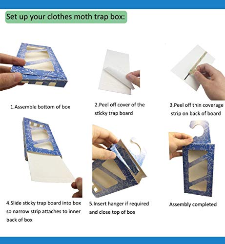 PTCLTRAPS8 Moth Traps for Clothes Closets Moth, Refillable, Odor-Free & Natural, Blue, 4 Packs