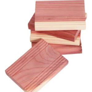 Cedar Essence Cedar Blocks (20 Pack)