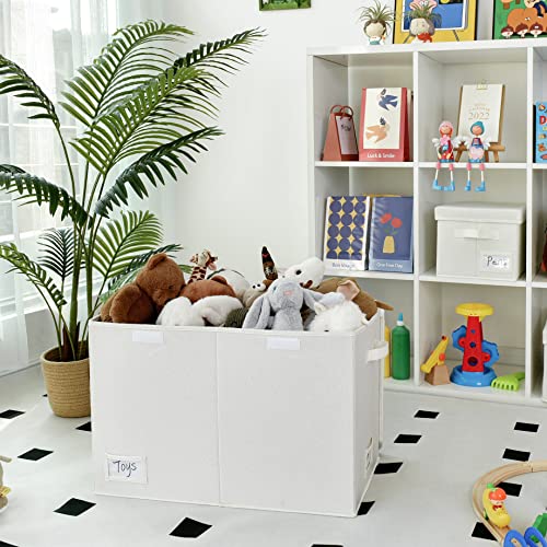 GRANNY SAYS Bundle of 1-Pack Large Storage Box & 1-Pack Over The Door Storage Organizer