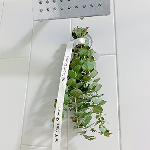 Self Care Shower Eucalyptus Fresh USA [Hanger Included] 10" Mini Bunch Live & Natural for Shower in Bathroom Leaves Greenery Stems Lavender Shower Plant, Fragrance, Decor