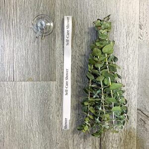 Self Care Shower Eucalyptus Fresh USA [Hanger Included] 10" Mini Bunch Live & Natural for Shower in Bathroom Leaves Greenery Stems Lavender Shower Plant, Fragrance, Decor