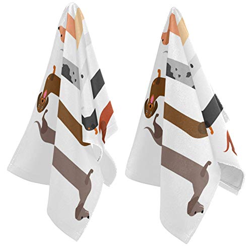 Naanle 2 Piece Funny Cute Long Colorful Dachshund Set Soft Fluffy Guest Hand Towels, Multipurpose for Bathroom, Hotel, Gym and Spa (14" x 28")