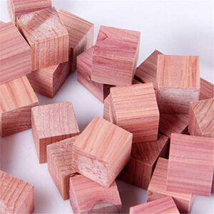 FunSpt 36 Pcs Cedar Blocks Cube with Fragrance Odor 100% Nature Aromatic Red Ceder Planks for Hanger Wardrobes Closets Drawers Freshener Clothes,005