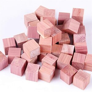 FunSpt 36 Pcs Cedar Blocks Cube with Fragrance Odor 100% Nature Aromatic Red Ceder Planks for Hanger Wardrobes Closets Drawers Freshener Clothes,005