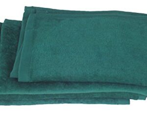 Show Car Guys 5-Pack Hunter Green Terry-Velour Fingertip Towels Made of 100% Cotton.- 11" by 18"