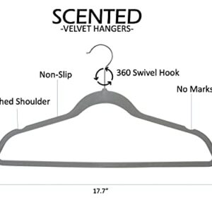 HangAroma Non-Slip Scented Velvet Hangers - Heavy Duty Clothes Hanger - Ultra Thin Space Saving 360 Degree Swivel Hook - Ideal for Coats, Jackets, Pants, & Dress - French Lavender - 12 Pack